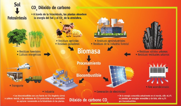 Infografía: Biomasa | PDF