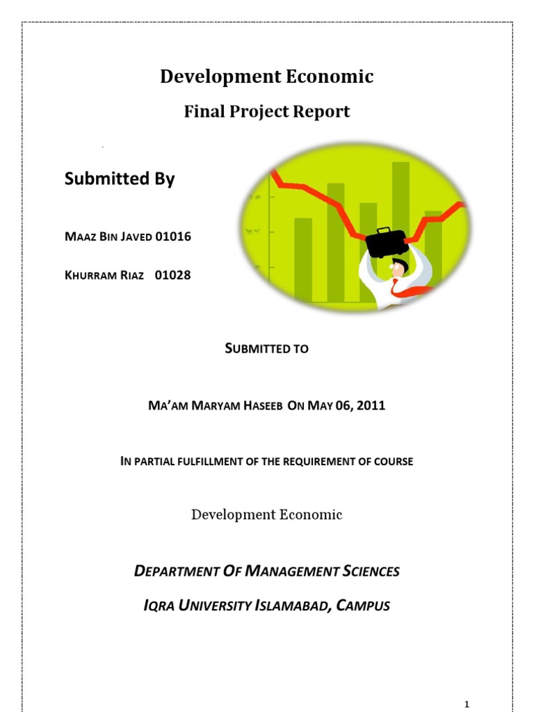 Economics Project | PDF