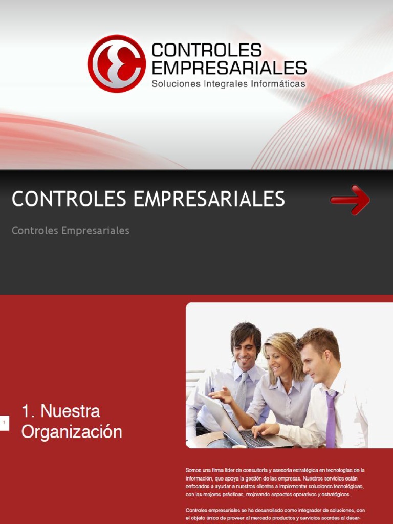 Controles Empresariales: Soluciones Integrales | PDF