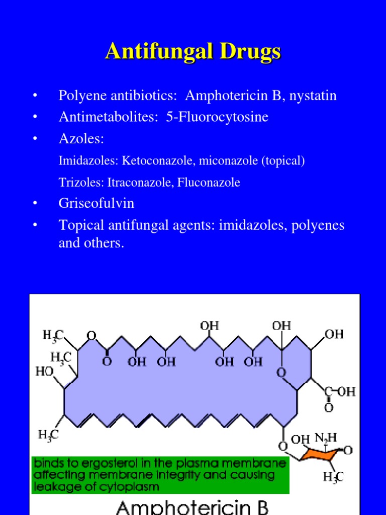 Antifungal Drugs: - Polyene Antibiotics: Amphotericin B, Nystatin ...