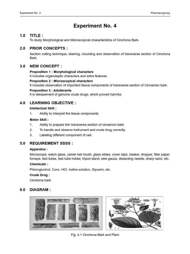 Cinchona Bark Microscopy