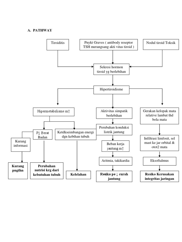 Pathway Hipertiroid