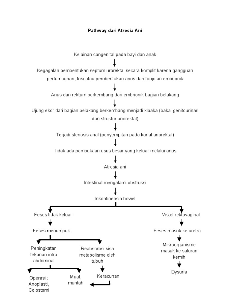 Pathway Atresia Ani | PDF