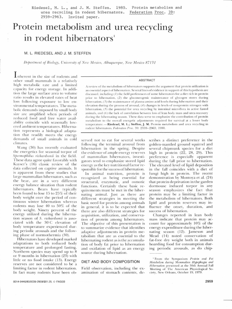 Protein Metabolism and Urea Recycling in Rodent Hibernators | PDF ...