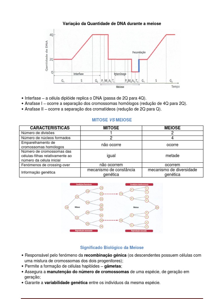 Variacao Quantidade Dna Meiose Pdf Meiose Cromossomo