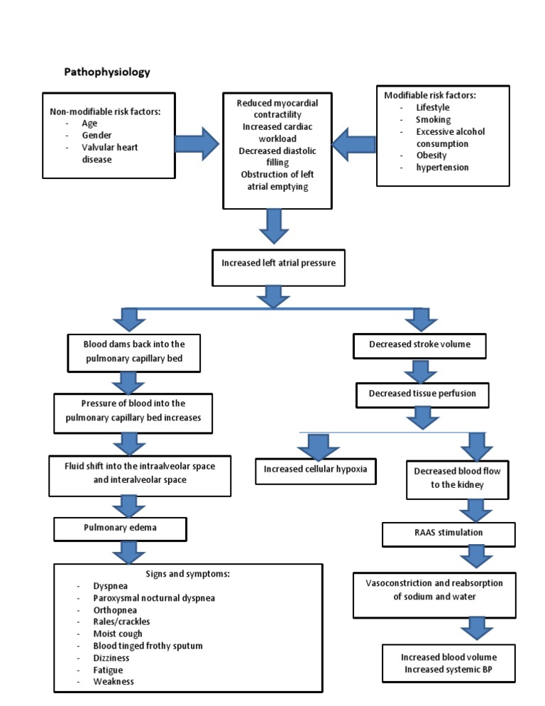 Pathophysiology of CHF | PDF