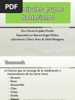 Escala de McLean Traducida | PDF | Psiquiatría | Medicina
