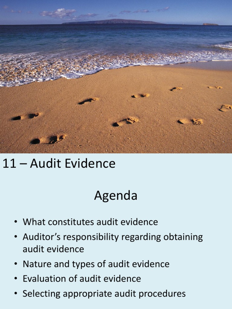 11 Audit Evidence | PDF | Financial Audit | Audit