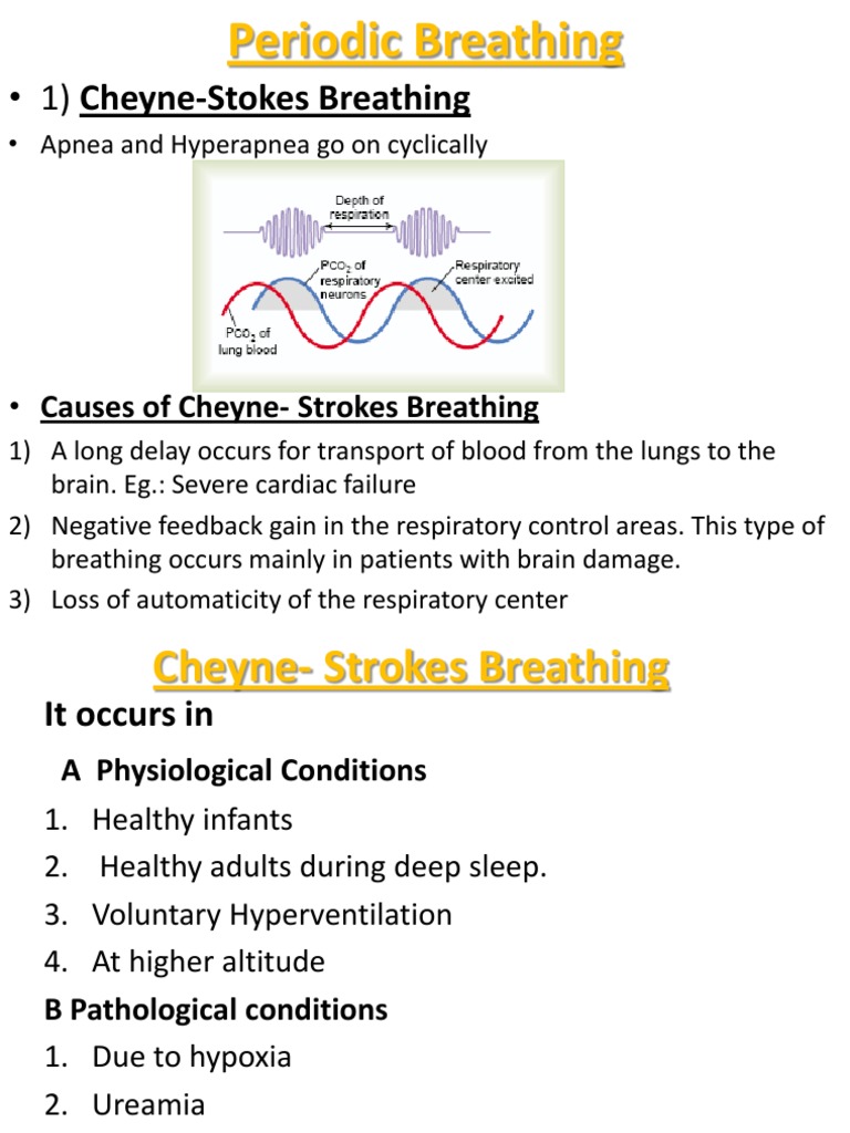 Periodic Breathing | PDF