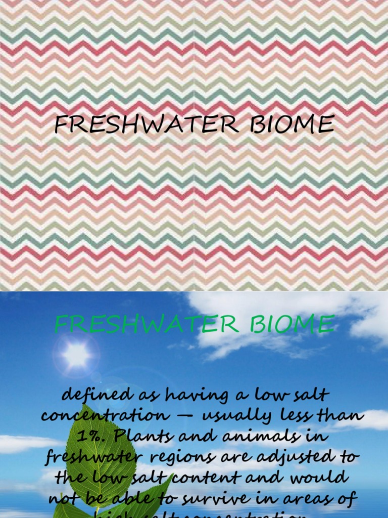 A Comprehensive Overview of Freshwater Biomes: Habitats, Climate ...