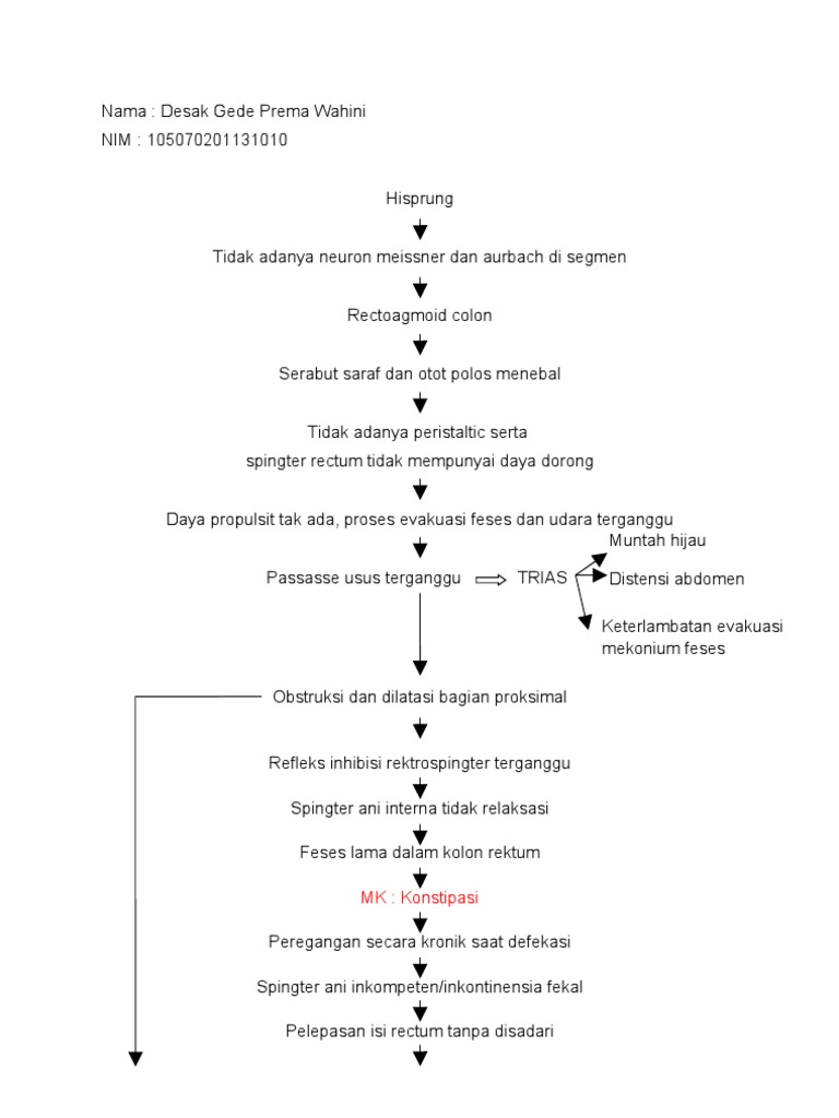 Pathway Hisprung | PDF