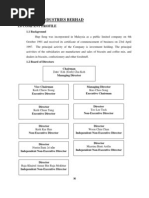 Appendix 1 - CIMB Group Organisation Structure PDF | PDF | Corporate ...