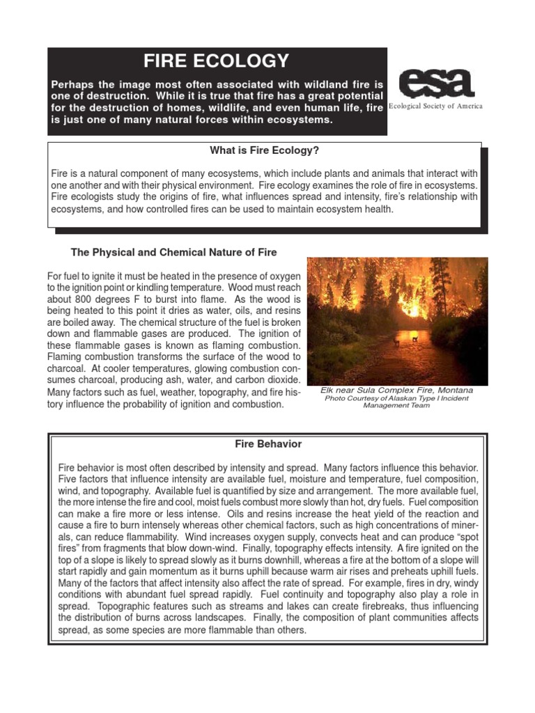 Fire Ecology: Role and Impact on Ecosystems | PDF | Science ...