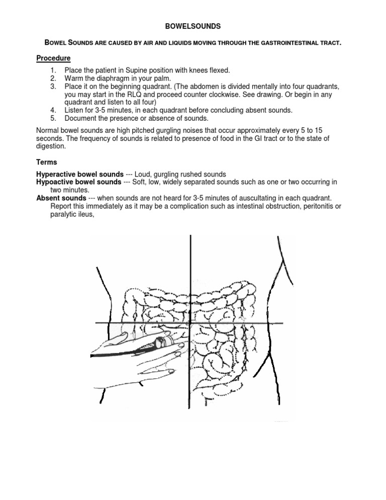bowel-sounds-pdf