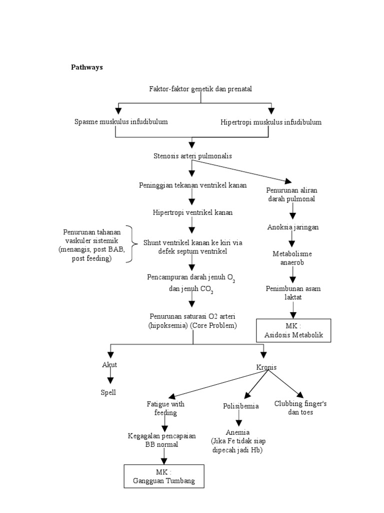 Pathway Hipertensi | PDF