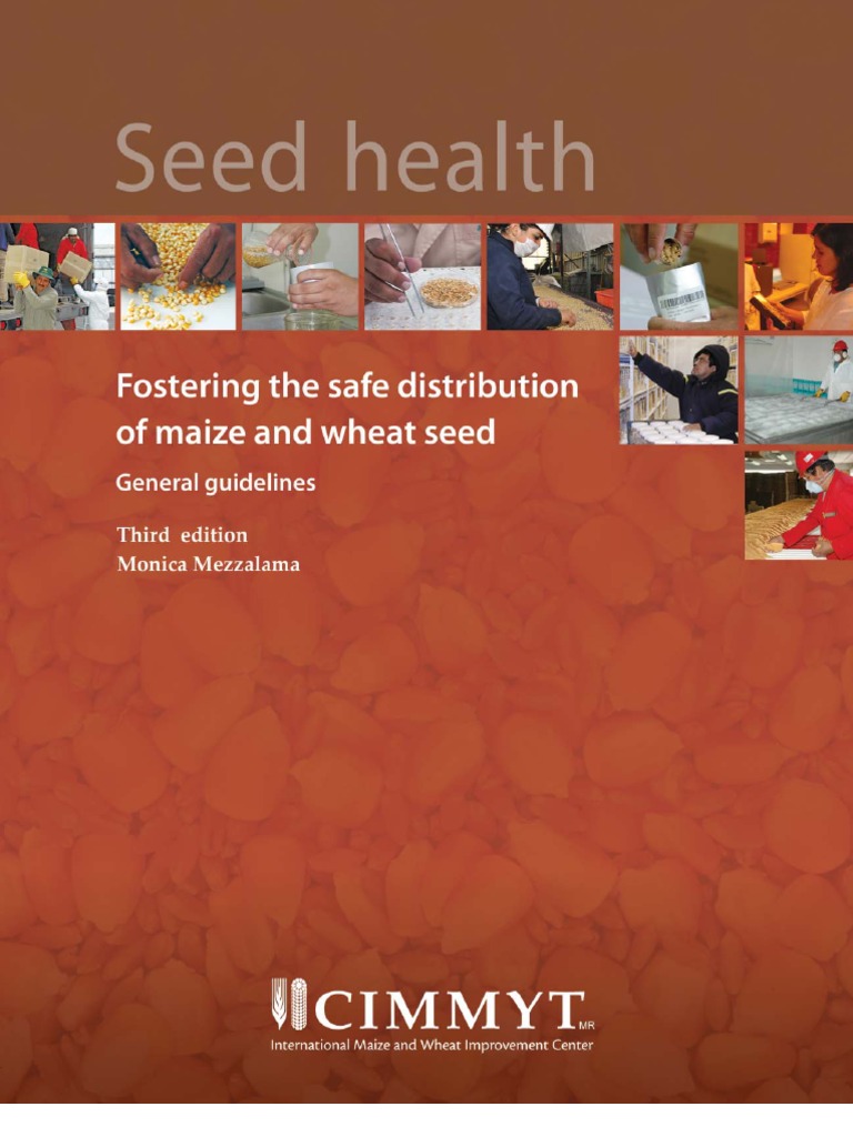 Seed Health: Fostering The Safe Distribution of Maize and Wheat Seed ...