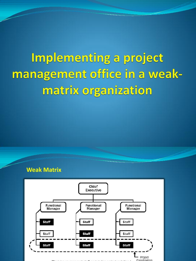 Implementing A Project Management Office in A Weak-Matrix | PDF ...