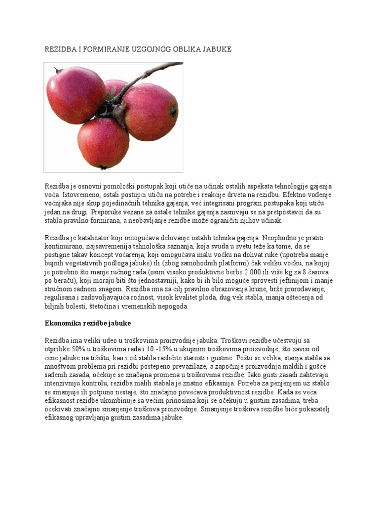 Rezidba I Formiranje Uzgojnog Oblika Jabuke | PDF