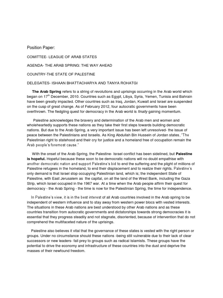 Palestine Position Paper Version 2 | PDF | State Of Palestine | World ...