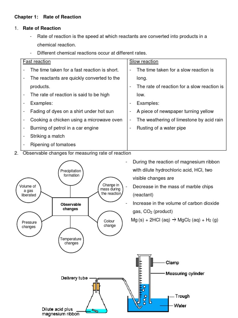Chemistry Form 5 Chapter 1 | PDF | Reaction Rate | Activation Energy