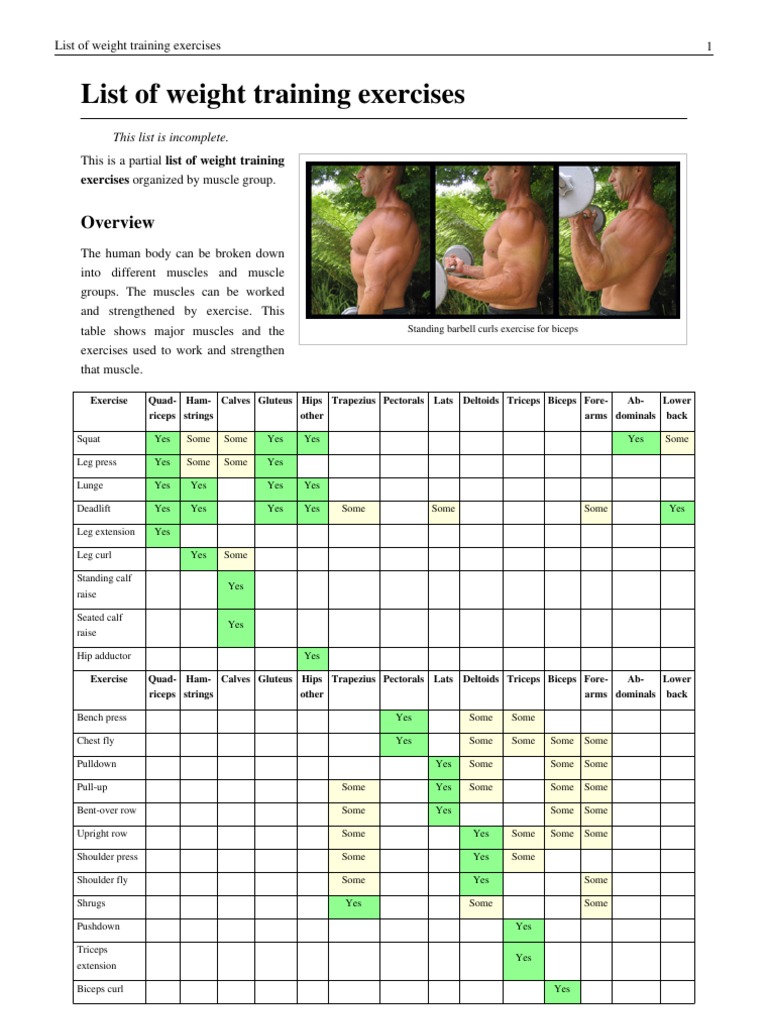 Top 10 Weight Training Exercises for Every Major Muscle Group | PDF ...