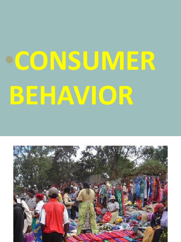Consumer Behaviour | PDF | Consumer Behaviour | Perception