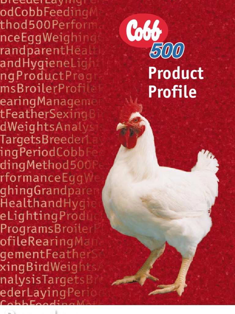 Cobb 500 | PDF | Broiler | Profit (Accounting)