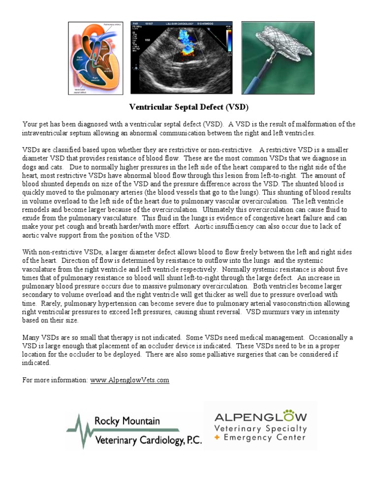 Understanding Ventricular Septal Defects: Classification ...