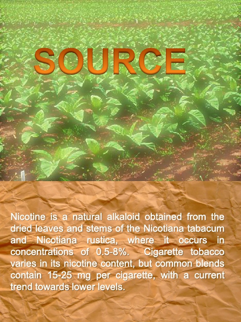 Nicotine Mechanism | PDF | Organic Synthesis | Enantioselective Synthesis