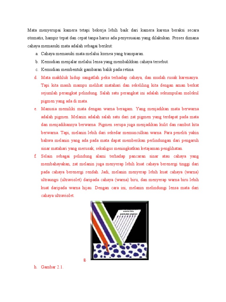 Pemahaman Hamburan Rayleigh dalam Penglihatan | PDF