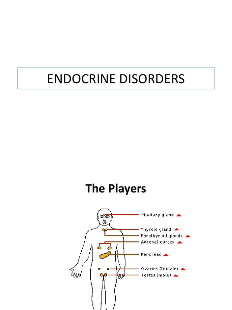 Pituitary Disorders | PDF | Hypothalamus | Pituitary Gland