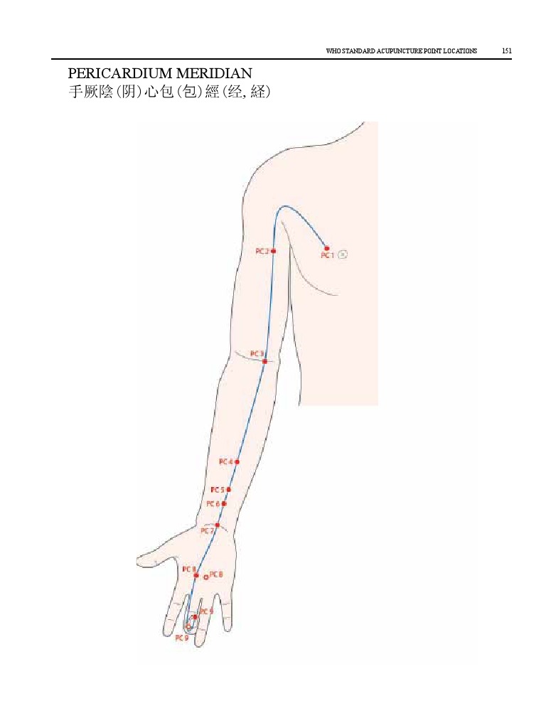 6 WHO Standard Acupuncture Point Locations in The Westernpart 6 | PDF ...