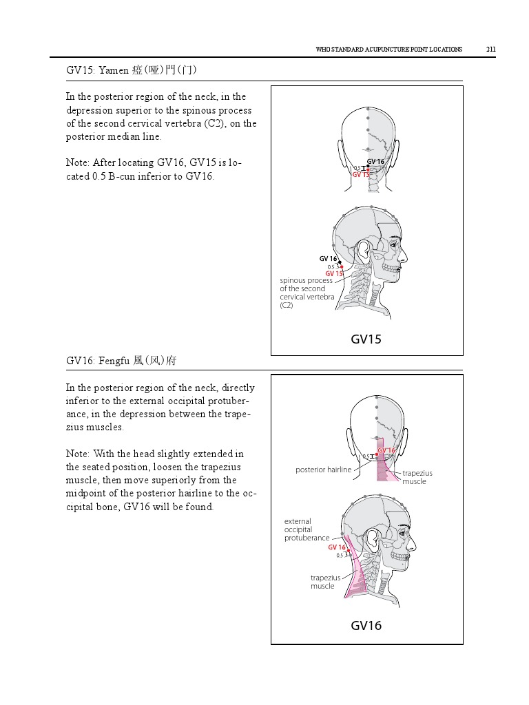 WHO Acupuncture Point Locations Guide | PDF | Vertebra | Anatomical ...