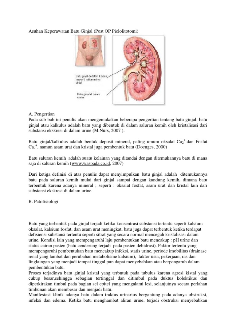 Askep Batu Ginjal | PDF