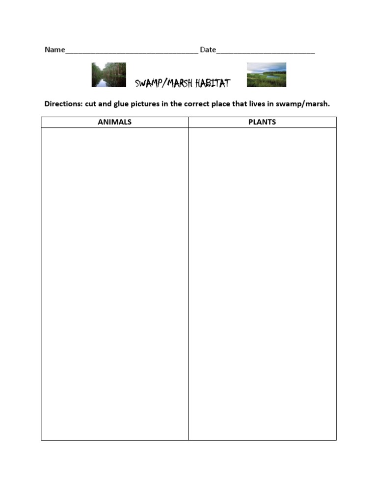 Swamp/Marsh Habitat: Name - Date | PDF | Foreign Language Studies ...