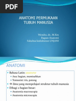 Tabel Ringkasan Origo, Insersio, Inervasi Dan Aksi Otot Manusia - Dr. S ...