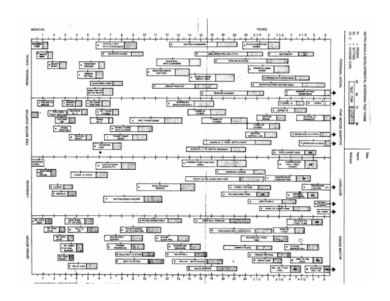 MMDST Scoring Sheet | PDF