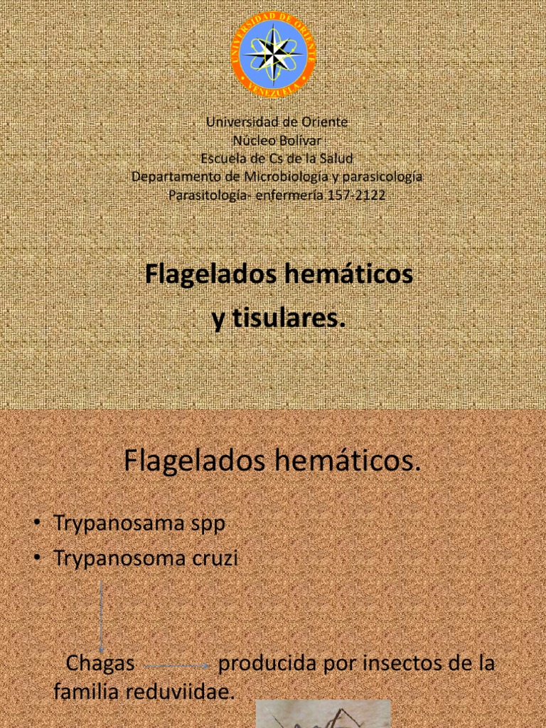Flagelados Tisulares y Hematicos Terminado. | PDF | Leishmania | Medicina
