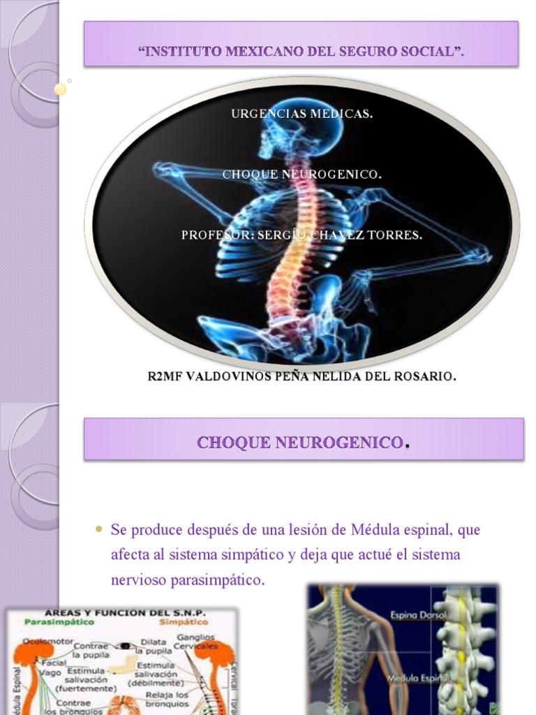 choque neurogenico | Médula espinal | Lesión