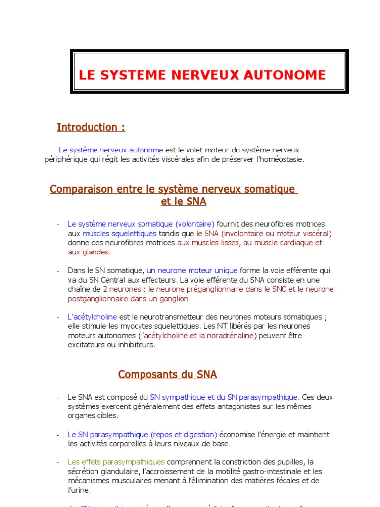 Système Nerveux Autonome et Somatique | PDF