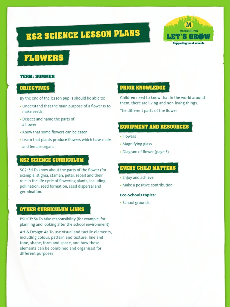 Flowers: Ks2 Science Lesson Plans | PDF | Flowers | Plant Morphology