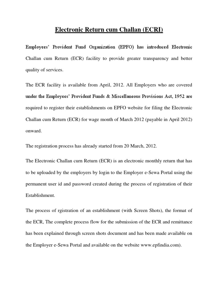 Electronic Return Cum Challan | PDF | Identity Document | User (Computing)