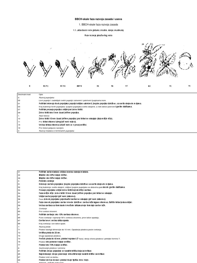 BBCH | PDF