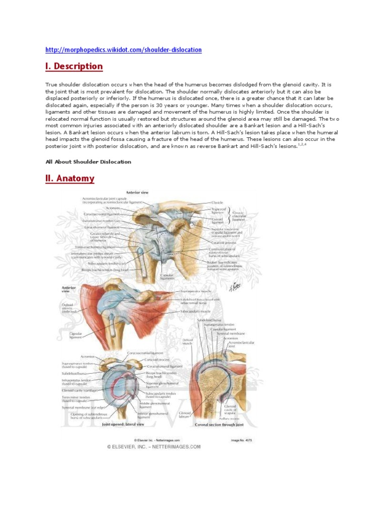 Comprehensive Guide to Shoulder Dislocation: Anatomy, Etiology ...