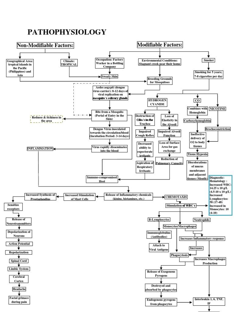 Pathophysiology: Non-Modifiable Factors: Modifiable Factors | PDF