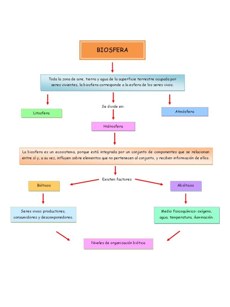 Mapa conceptual de la biosfera y sus componentes | PDF | Ciencia y ...