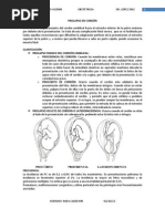 Distocia Funicular: Definición y Evaluación | PDF | Parto | Feto