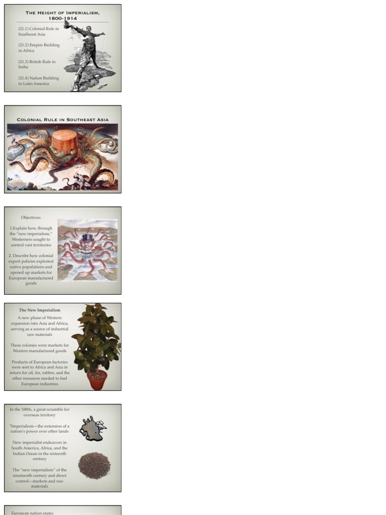 CHAPTER 21 - The Height of Imperialism | PDF | Imperialism | Africa