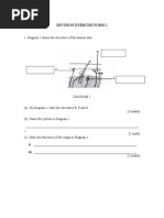 Example Form 1 Science Paper (With Answers) | PDF | Combustion ...