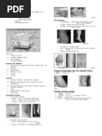 STAR Skin Tear Tool 04022010 | PDF | Skin | Wound